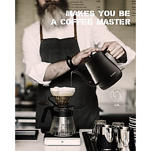 Electric Gooseneck Kettle, Pour Over Kettle & Tea Kettle with 5 Variable Temperature Presets, 304 Stainless Steel, LCD Touch Screen, 1000 Watt Quick Heating, 0.8L, Matte Black, XH-ZCQ07B-B