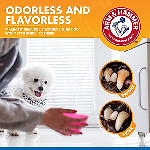 Arm & Hammer for Pets Combo Pack Dog Dental Tartar Control Water Additive and Fresh Breath Vanilla Ginger Enzymatic Toothpaste | Includes 16 Oz Dog Water Additive and 2.5 oz Dog Toothpaste