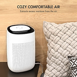 Tenergy Sorbi Dehumidifier w/Air Purifying Function and 3-Pack Replacement H13 Medical Grade Hepa Filter, Ultra-Quiet, Adjustable Air Speeds, and Touch Control