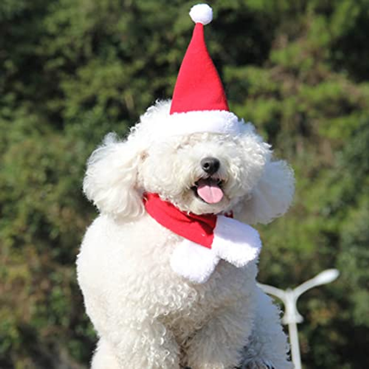 Orgrimmar Cat Santa Hat with Scarf Pet Christmas Costume Set Pet Christmas Outfit Xmas Clothes for Small Cats&Dogs