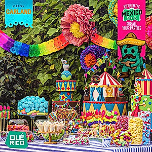 Rainbow Garland 5 Pack - Ideal for Rainbow Party Decorations, Fiesta Party Decorations, Mexican Party Decorations, Party Streamers Supply - 10 Feet Long Each | 9 Inch Diameter by OLÉ RICO