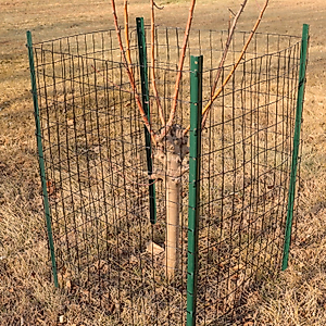 FOREHOGAR Black PVC Coated Welded Wire Fence 36 Inch x 50 Foot, 2 Inch x 3 Inch 16GA, Garden Border Fencing Roll Vinyl Coating Metal Wire Mesh for Yard Vegetable Plant Protection Poultry Netting