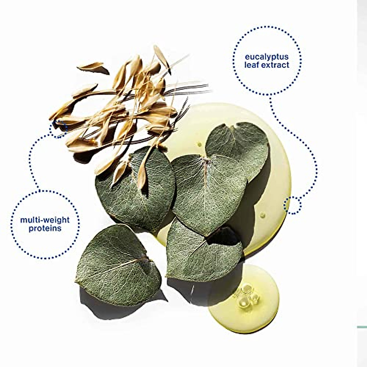 Pureology Pure Volume Shampoo and Conditioner Bundle | For Flat, Fine, Color-Treated Hair | Sulfate-Free | Vegan | Updated Packaging | 9 Fl. Oz.