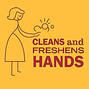 MRS. MEYER'S CLEAN DAY Hand Soap, Made with Essential Oils, Biodegradable Formula, Clementine (12.5 Fl Oz (Pack of 2))