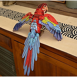 STEM Kit Educational Toys,Macaw Model Kits, 3D Puzzles Gift for Kids Boys Girls Aged 7+, 170 pcs