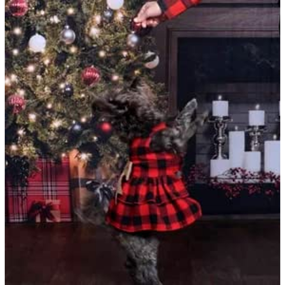 Red Buffalo Plaid Christmas Dog Dress, Holiday Dog Dress, Christmas Dog Clothes, Fits Dogs XS to 5XL (5XL 60-95lbs)