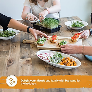 Powerhouse Veggies Refill for Hamama Home Microgreens Growing Kit - Grow Fresh Micro Greens Indoors Every Week, Just Add Water - Superfoods Microgreens Seeds - Grow Superfood Veggies and Supergeens