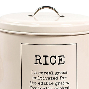 Stainless Steel Rice Storage Box with Lid and Spoon, Large Food Storage Containers, Great Rice Canisters Sets, Kitchen Countertop Organizer Jar for Rice/Flour/Soybean/Grain, Style B