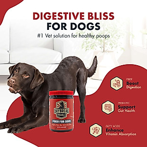 Daybreak Nutrition Fiber for Dogs Psyllium Husk, Beet Root, Dandelion Root, and Prebiotics to Aid in Relief from Diarrhea, Constipation, Anal Gland Issues, and Scoots