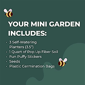 Window Garden Sow Much Fun Seed Starting, Vegetable Planting and Growing Kit for Kids, 3 Self Watering Planters, Soil, Seeds and Puffy Stickers. No Mess, Easy, Works Great! (Pumpkin)