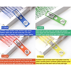 Ninyoon 48pcs Microscope Slides with Specimens for Kids – Kids Prepared Stereo Microscope Slides for Stereo Microscope and Other, Animals Insects Plants Flowers Specimens