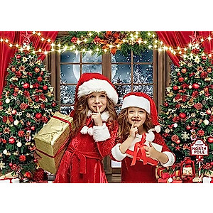 CYLYH 7x5ft Christmas Backdrop Xmas Window Photography Backdrop Winter Dream Wonderland Snow Tree Red Curtain Christmas Festival Party Banner Backdrop