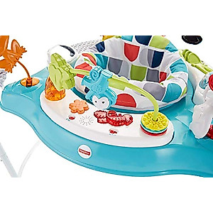 Fisher-Price Baby Bouncer Color Climbers Jumperoo Activity Center with Music Lights & Developmental Toys (Amazon Exclusive)