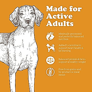 Now Fresh Dry Dog Food, Turkey, Salmon and Duck Recipe, 22 lbs - Grain Free Dog Food, Made with Real Meat and Fish for Small, Medium, and Large Breed Adults