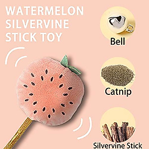 olloiig 12pcs Interactive Cat Toys Set, Squeaky Crinkle Catnip Cat Toy Pack, SliverVine Catnip Sticks and Catnip Wall Balls for Dental Health, Plush Chew Toy for Kitten Cat Gift…