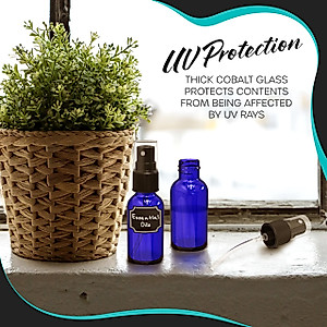 Nevlers 48 Pack Blue 1 Oz Glass Spray Bottle | The Blue Misting Glass Bottles Includes Sprayers, a Funnel & Brush with Bonus Labels to Easily Identify its Contents