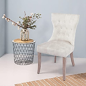 Creek Vista Tufted Velvet Dining Chairs, Upholstered Fabric Dining Room Chairs with Nailhead Trim, Stylish Kitchen Dining Room Chairs with Wood Legs for Living Dining Room, Beige