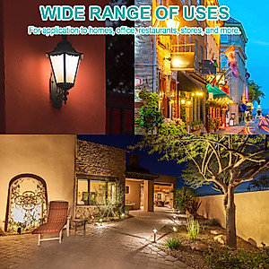 Kscjdg 4W 12V T5 Light Bulbs for Landscape Light Bulbs/Wedge Base Low Voltage Lights Bulbs/Garden Light Bulbs/Deck Light Bulbs/Yard Light Bulbs/Malibu Bulbs - 20 Pack (4W)