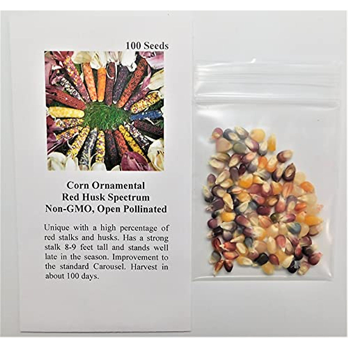 David's Garden Seeds Popcorn Red Husk Spectrum 7567 (Multi) 100 Non-GMO, Heirloom Seeds