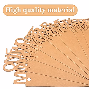 1st Birthday Baby Photo Banner for Newborn 12 Month Photo Prop,Kraft Photo Banner,First Birthday Decorations Boy or Girl Monthly Milestones Garland