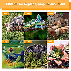 Catcan 50W Reptile Heat Lamps, UVA UVB Reptile Light with 2 Heat Bulbs, 360°Rotatable Clips Adjustable Switch Heat Lamp for Turtle Lizard Snake Aquarium Amphibian Yellow Light