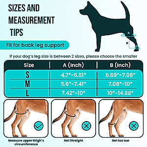Dog Leg Braces for Back Leg - Dog Knee Brace For Support With Cruciate Ligament Injury, Joint Pain And Muscle Sore,- Dog Knee Brace for Torn ACL Hind Leg Adjustable Rear Leg Braces (Large)