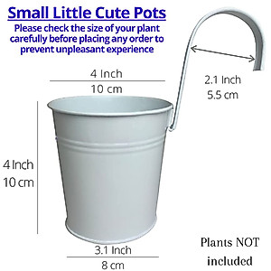 ShopLaLa Bundle - 4 Inch White Metal Flower Pots + Wooden Plant Holder, Vertical Garden Planter, Live Plant Wall System Outdoor Wall Mounted Planter, Hanging Herbs Planters, Green Wall Decoration