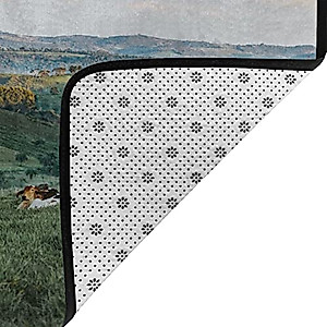 Custom Office Rug Personalized Area Rugs Design Your Logo Image Text Home Decoration Carpet for Bedroom Living Room (36 x 24Inch)