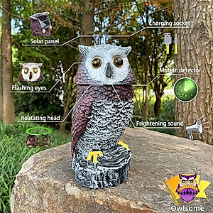 Owlsome Solar Red Owl with Flashing Eyes, Rotating Head, Hooting, Motion Detector and Silent Mode, Plastic Owl Garden Sculpture, Garden Decoration