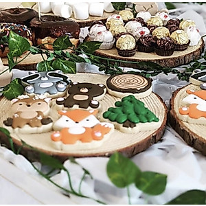 Set of (14) 12-13" Wood Slice centerpieces for Tables, Rustic Wedding Decorations, Wedding Decorations for Tables, Natural Wood Slices! (14)