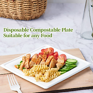 ECOLipak 120 Pack Compostable Paper Plates, 10 inch and 8 inch Heavy Duty Disposable Square Plates, Eco friendly Sugarcane Biodegradable Plates for Party Dinner Birthday
