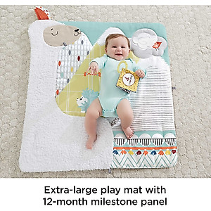 Fisher-Price Baby Playmat Perfect Sense Deluxe Gym Extra Large With Lights Music And 6 Moveable Sensory Toys