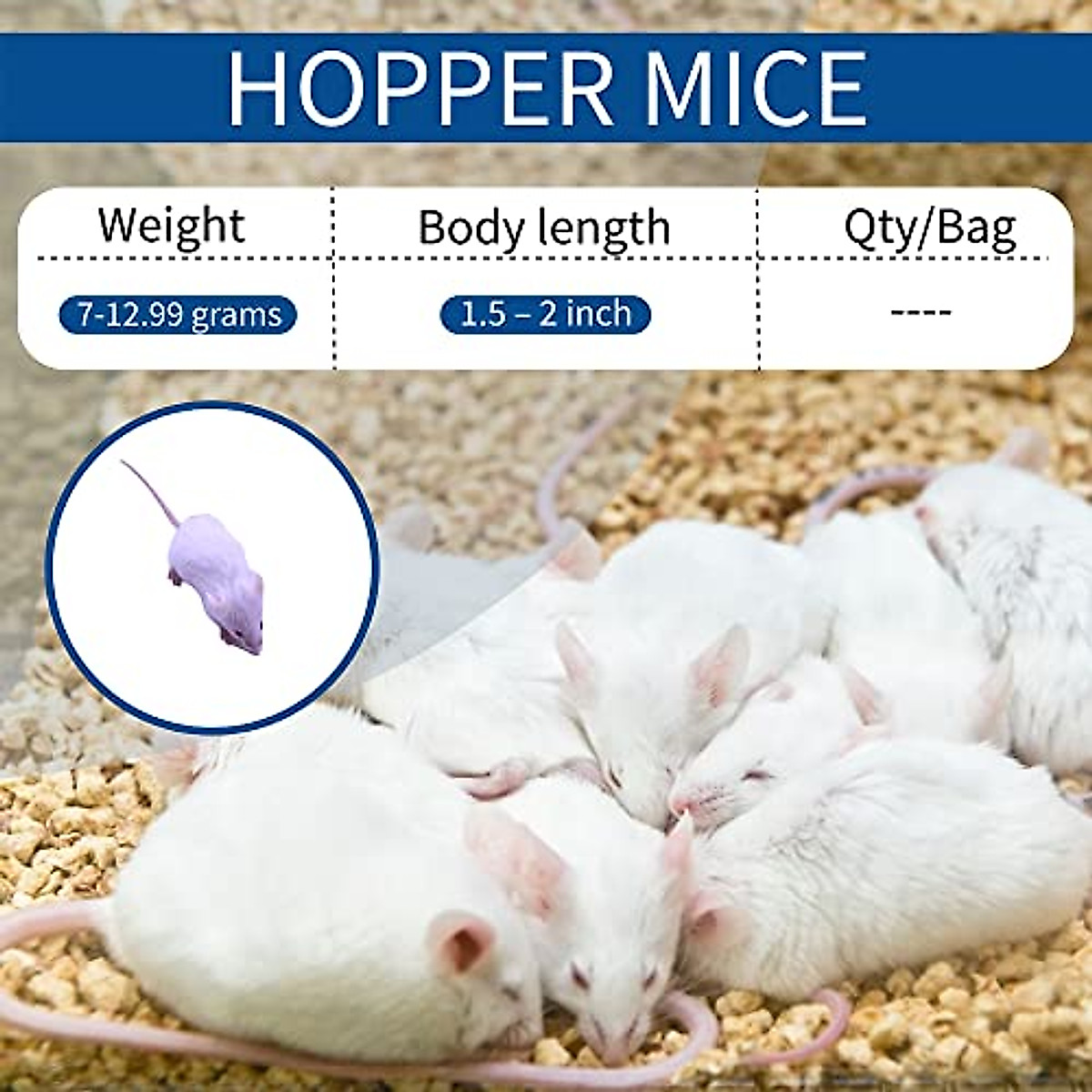 MiceDirect Frozen Hopper Mice Feeders Baby Ball Pythons & Red Tail Boas, Sub Adult Milks (15 Count)