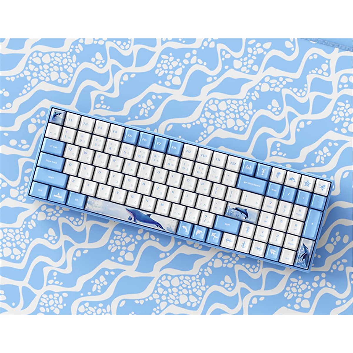 DAGK 4 Keycap Set, Dye-subbed PBT Keycaps, OEM Keycaps, Spacebar Keycap, Esc Keycap Enter Keycaps for DIY Cherry MX Gaming Mechanical Keyboard (Dolphin)