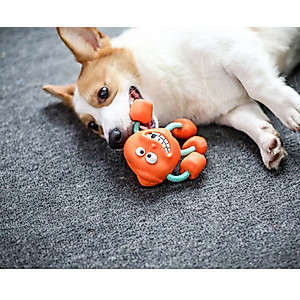 Dog Chew Toy Durable Dog Chew Toys for Puppy Small Large Dog Teeth Cleaning/Chewing/Playing (Orange Apple)