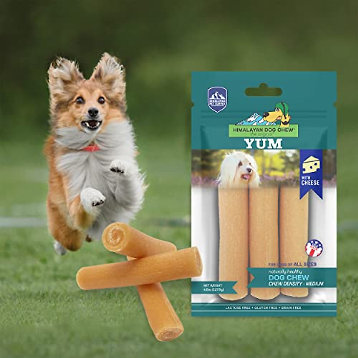 Himalayan Dog Chew Yak Cheese Dog Chews, 100% Natural, Long Lasting, Gluten Free, Healthy & Safe Dog Treats, Lactose & Grain Free, Protein Rich, Medium, 4.5 oz