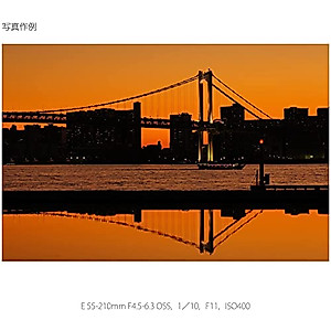 Sony E 55-210mm F4.5-6.3 Lens for Sony E-Mount Cameras (Black)