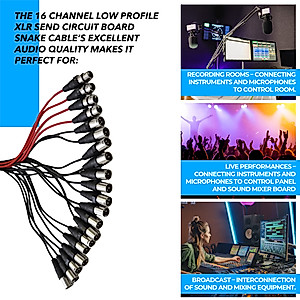 Seismic Audio Speakers 16 Channel Low Profile XLR Send Circuit Board Snake Cable, XLR Splitter Cable, 100 Feet