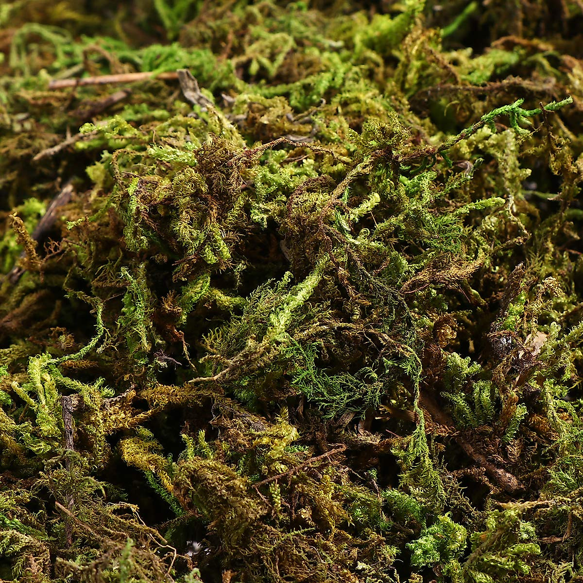Garneck Artificial Fake Moss Lifelike Green Moss for Potted Plants Home Garden Patio Crafts Centerpieces Decor