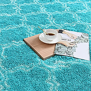 Idailic Fluffy Shaggy Area Rug 4x6 ft Large Fuzzy Plush Carpet for Bedroom Nursery Rugs for Girls Boys Room,Living Room,Playroom,Dorm,Home Decor,Baby Blue Rug