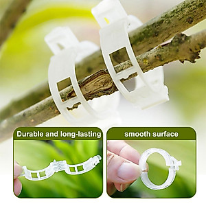 Secured Plastic Plant Clip, 2024 New Plant Fixing Clips for Climbing Plants Plastic Support, Small Plastic Clip Tomato Trellis Clips for Garden Vine Plant Vegetables Tomato (white-100 pcs)