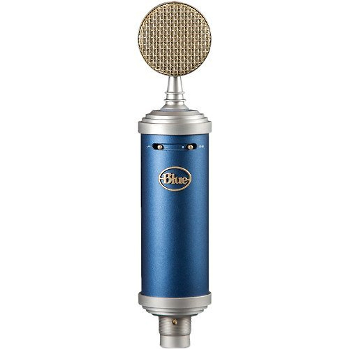 Blue Bluebird SL Large-Diaphragm Condenser Studio Microphone with Auray RF-5P-B Reflection Filter and RFMS-580 Reflection Filter Tripod Mic Stand Bundle