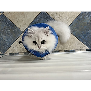 Comfortable & Adjustable Inflatable Pet Collar - Alternative to Cone Shaped Collars - Great for Post-Surgery or Injury Recovery - Durable & Non-Toxic Material -Snug Fit (Large 12-18 in.)