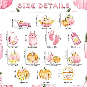 60 Pcs Little Pumpkin Hanging Swirls Autumn Thanksgiving Baby Shower Party Decoration a Little Pumpkin Is on Her Way Hanging Decor Pink Floral Pumpkin Ceiling Swirl for Fall Baby Shower Girl Birthday