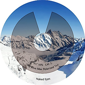 Tintart Wayfarer Sky Blue Max Polarized Sunglasses