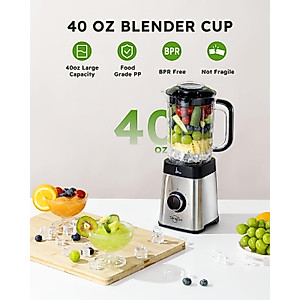 Sangcon Blenders and Food Processor Combo for Kitchen, 5 in 1 Blender for Shakes and Smoothies, Meat Chopped, Grinding & more, 40 oz Jar & 17oz Cup with To-Go Lid, Stainless Steel Silver