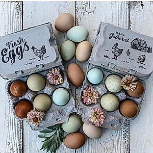 Half Dozen Empty Egg Cartons- Bulk 50 Full Dozen Can Split to 100 Half Dozen Size- Securely Holds 6 or 12 Extra Large Eggs