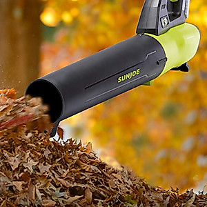 Sun Joe 24V-JB-LTE 24-Volt Turbine Cordless Jet Blower 385 CFM Max, Kit (w/2.0-Ah Battery + Quick Charger)