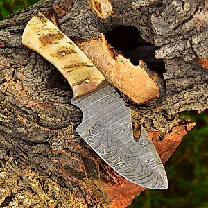 SharpWorld Beautiful Damascus Gut Hook Knife Made Of Remarkable Damascus Steel Ram Handle/w Brown Leather Sheath TJ111