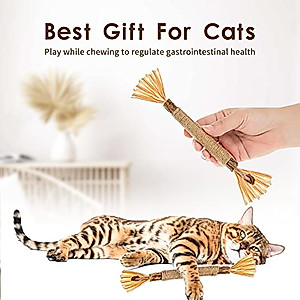 Luystoka 3PCS Silvervine Matatabi Catnip Sticks Natural Cat Chew Sticks, Cat Dental Toy, Catmint Blend Sticks, Teeth Cleaning, Interactive for Kitty, Kittens